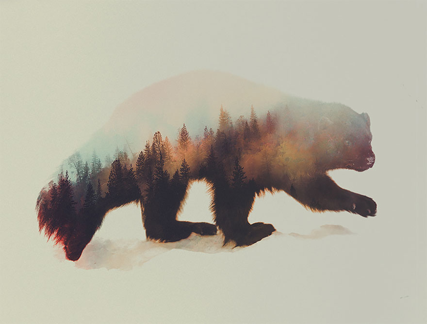 "The Animal Kingdom" - Double Exposure Portraits Of Animals by Andreas Lie