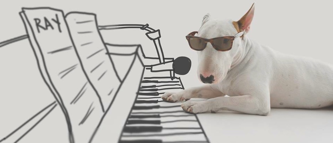 Meet "Jimmy The Bull" in Funny Hand-Drawn Scenes by Rafael Mantesso