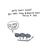 Sad Animal Facts - Illustrations by Brooke Barker