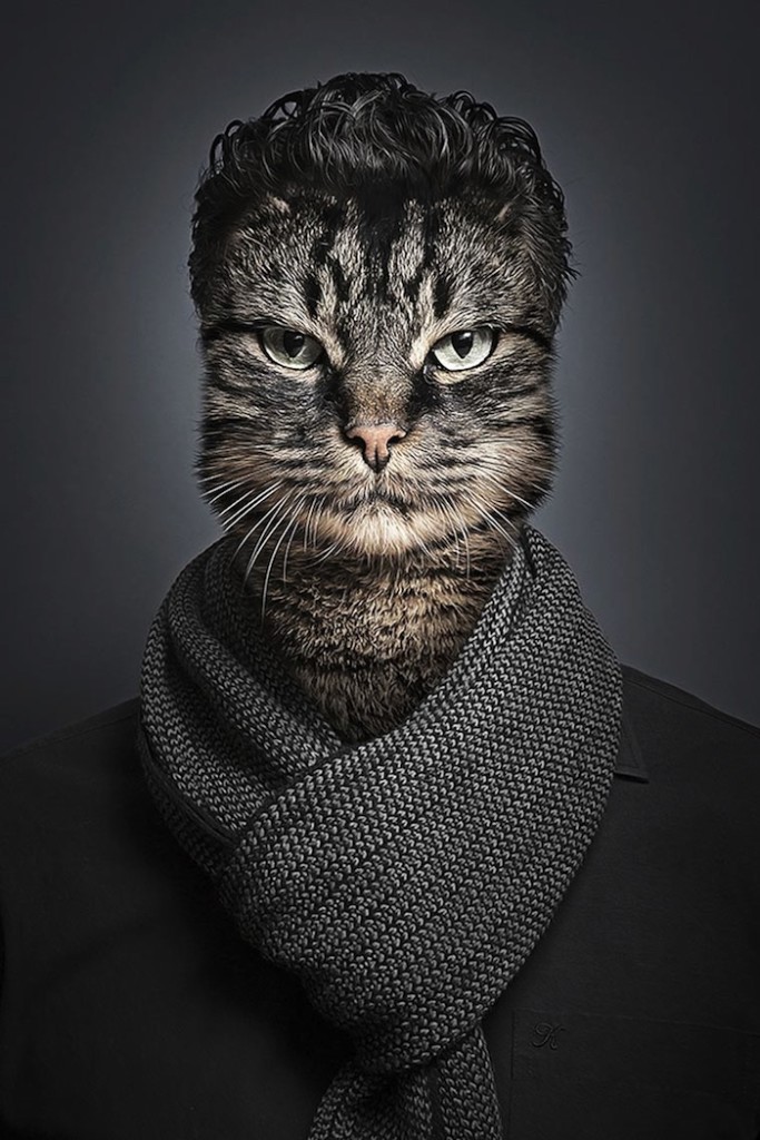 "Underdogs & Undercats" by Photographer Sebastian Magnani