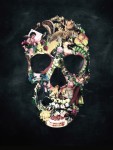 Creative Skulls Imagined From Different Techniques