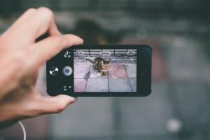 "Through The Phone" - An Adorable Series by SamAlive