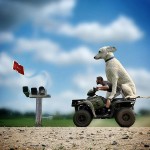 Meet Photographer Christopher Cline & His Giant Dog Juji