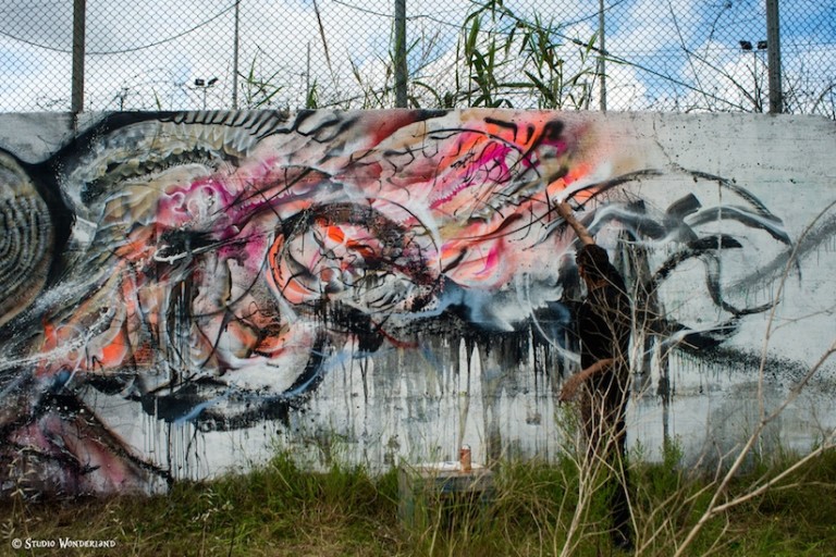 "Magic Birds" - New Adorable Spray-Painted Birds by Brazilian Street ...