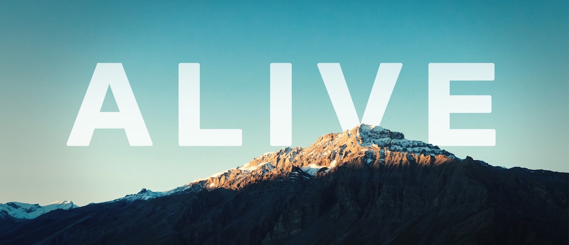 "Alive" - A Travel Through the Northern Himalayas of India
