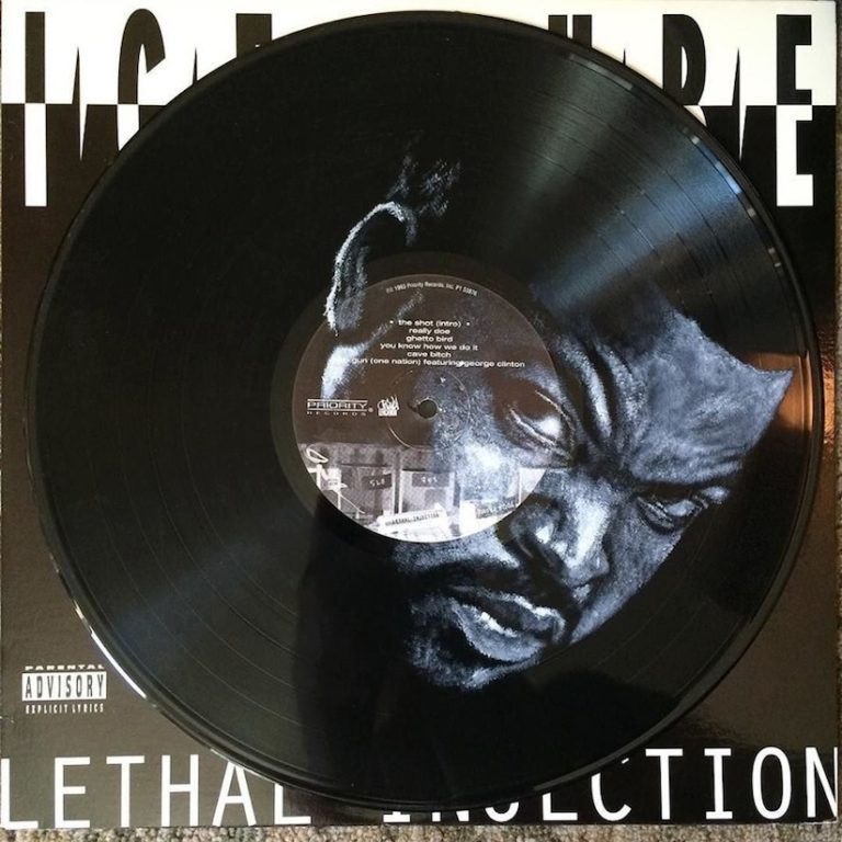 Portraits of Legendary Musicians Painted on Vinyl Records by Daniel Edlen