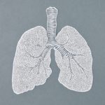 "Organ Collection" - Incredibly Detailed Hand-Cut Paper Art by Ali Harrison