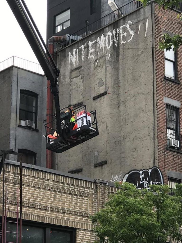 To The Bone: Lion Mural by South African Street Artist Sonny in NYC