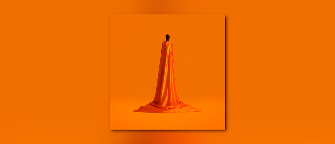Wayne Snow veröffentlicht neues Neo-Soul Album "Figurine" // Streams