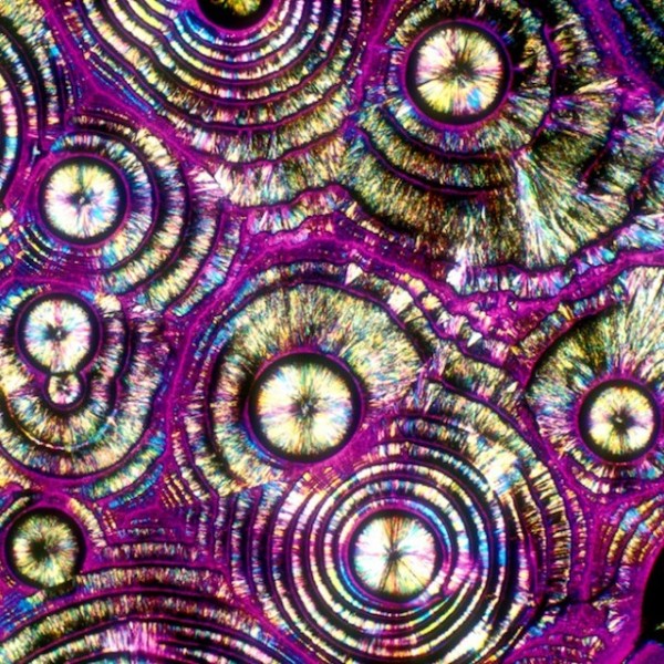 BevShots - Crystallized Alcoholic Drinks under a Microscope (24 Pictures)