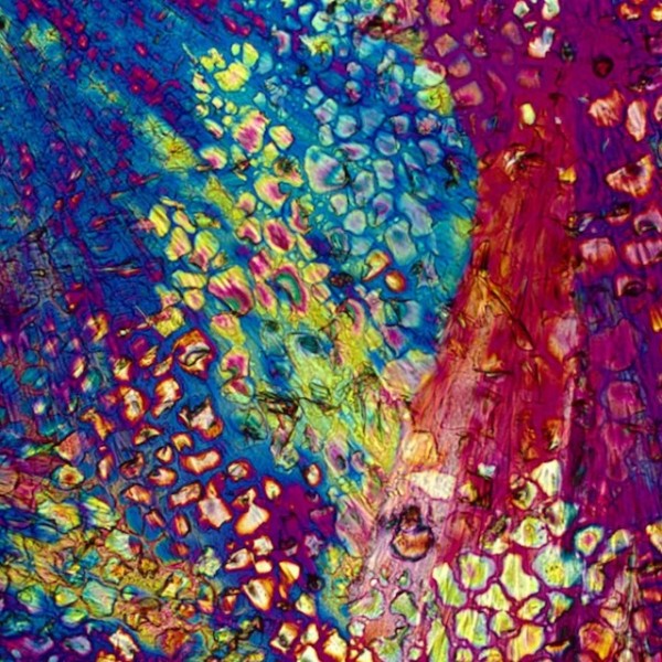 BevShots - Crystallized Alcoholic Drinks under a Microscope (24 Pictures)