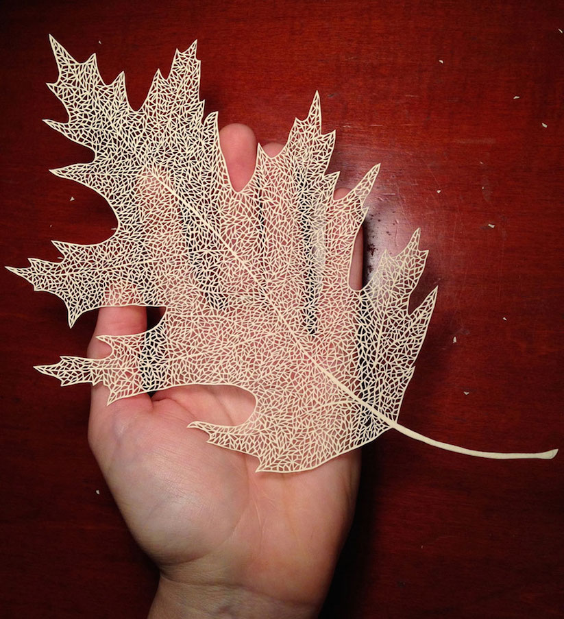 Delicate Hand-Cut Paper Art By Maude White (12 Pictures)