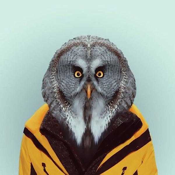 zoo_portraits_by_yago_partal_09 - WHUDAT